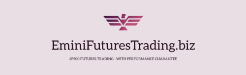 About | Emini Futures Trading.biz